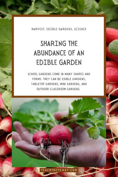 edible-school-gardens-ideas-programs-benefits-and-curriculum